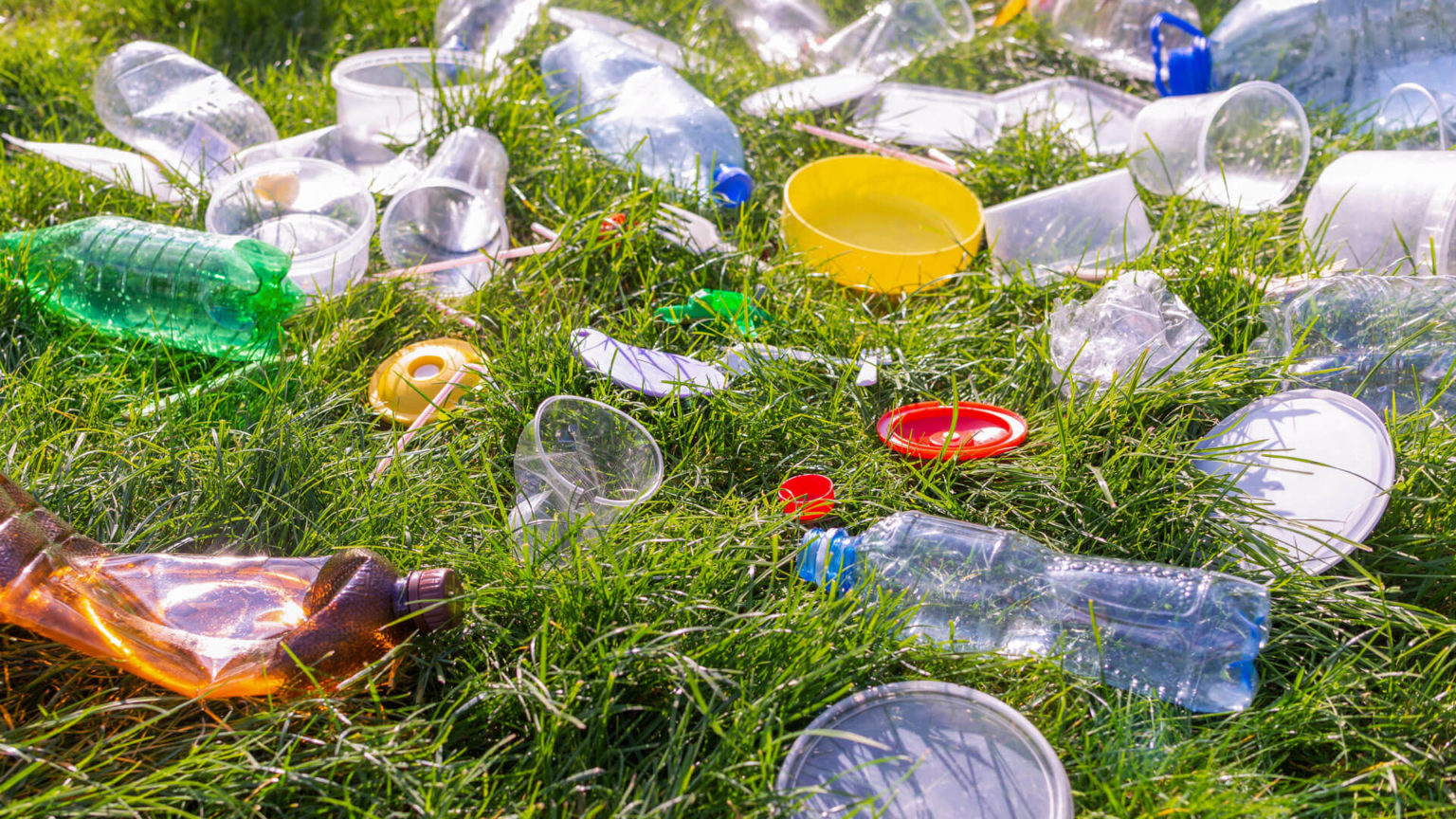 Biodegradable Plastic Packaging Reduces Single Use Ultra Clear ...